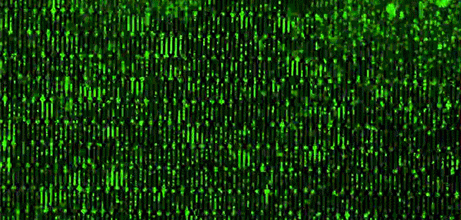 Cancer Immunotherapy Gets Assist From Micro-Scale Engineering - Cancer ...